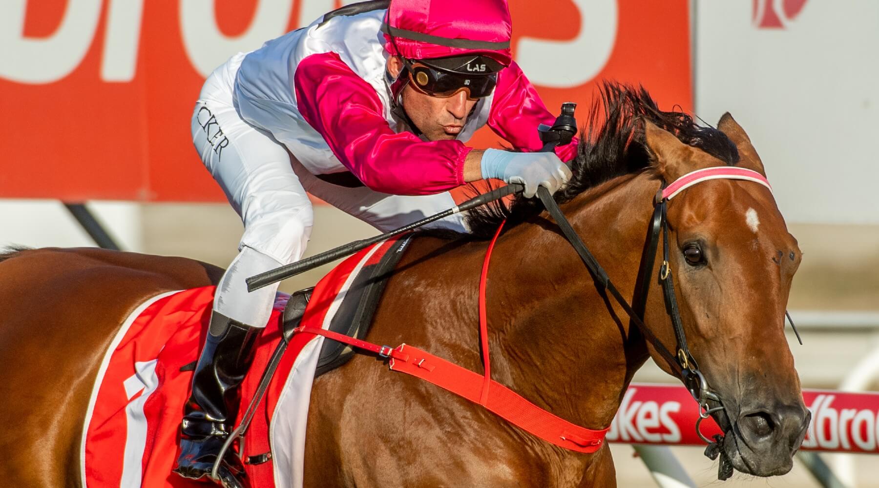 State of play: the key challenges at the heart of Tasmanian racing ...