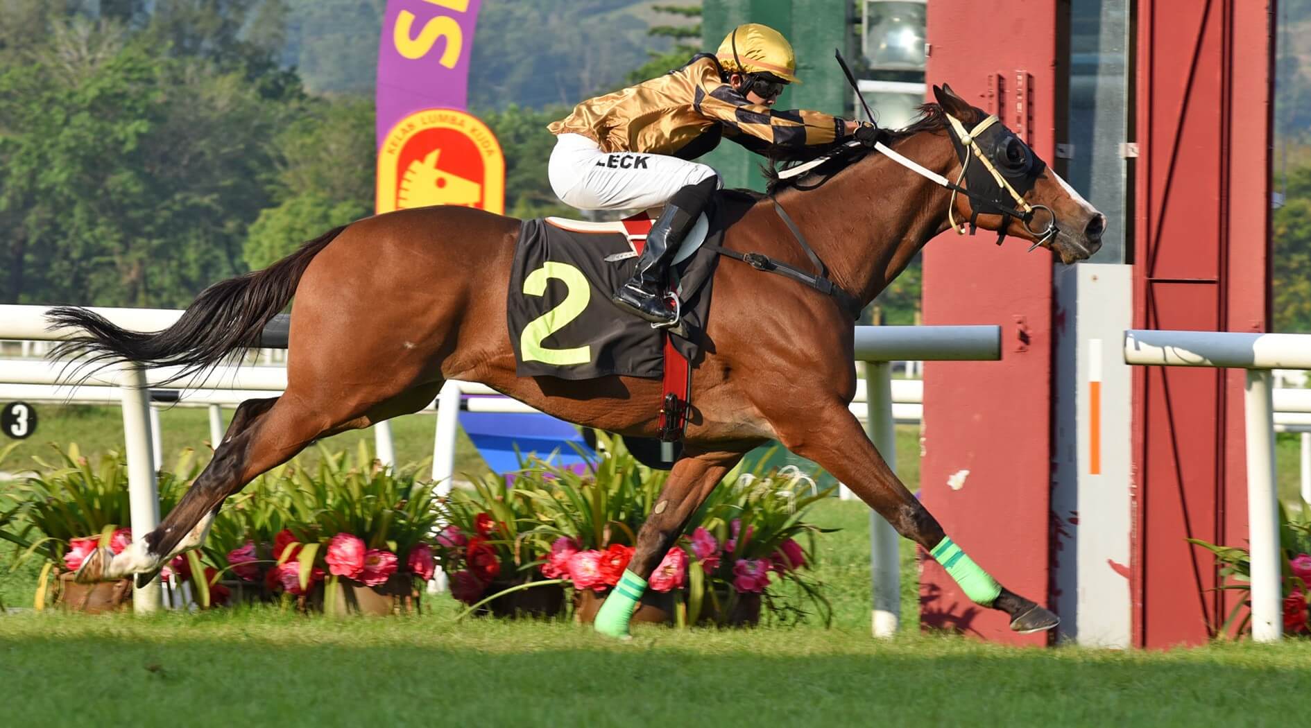 Selangor's apprentice champion signals bright possibilities - Asian ...